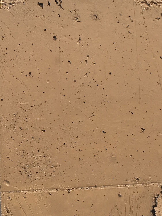 Formation sur la Terre Coulée – Hamadryade